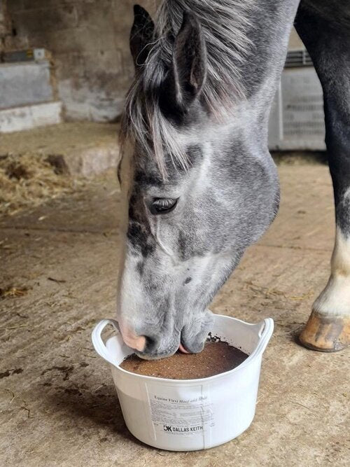 Dallas Keith Equine Flexi Tub For Hoof N Hide 12.5Kg – Vale Gardens Limited