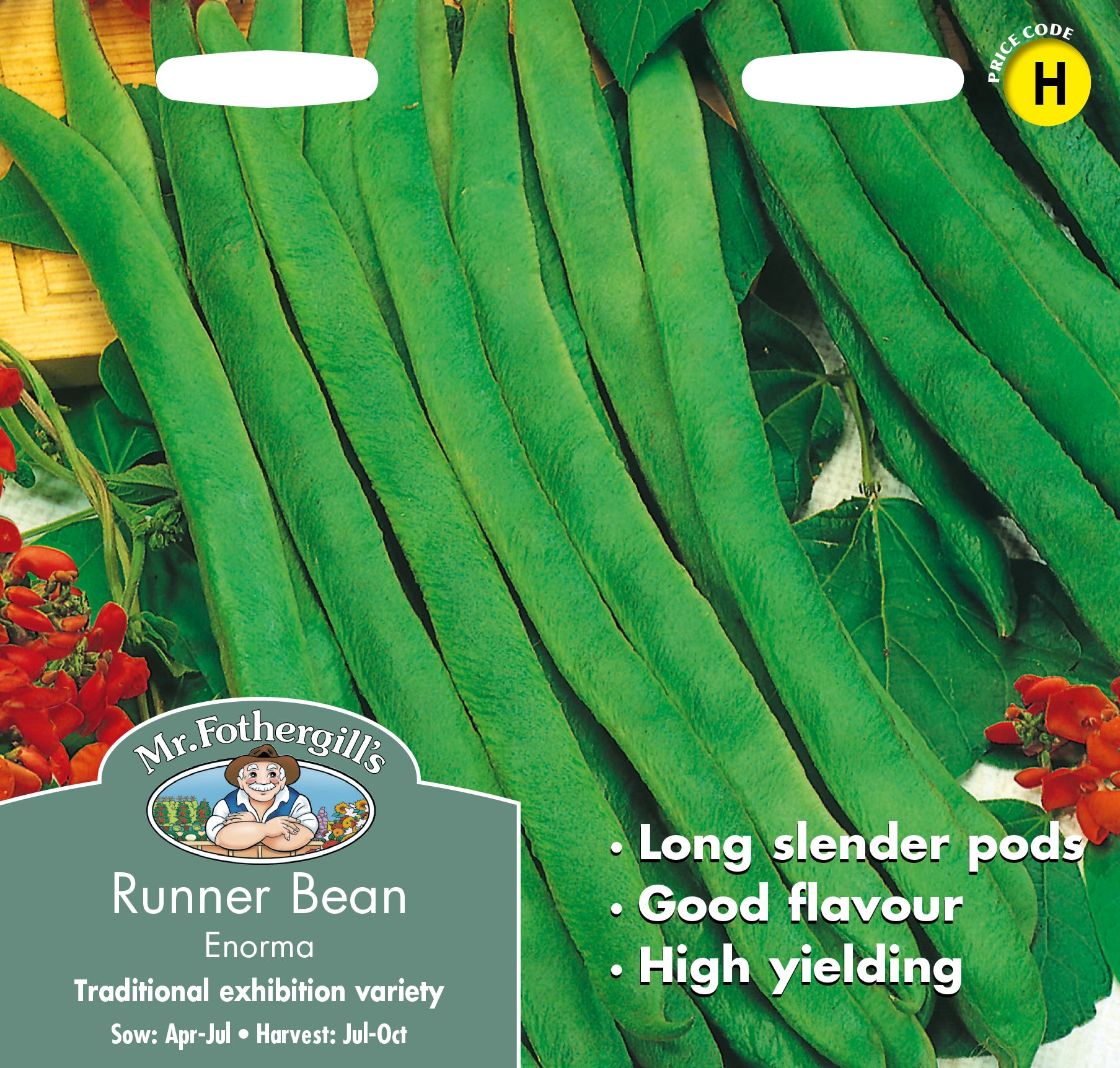 Mr Fothergill's RUNNER BEAN Enorma – Vale Gardens Limited