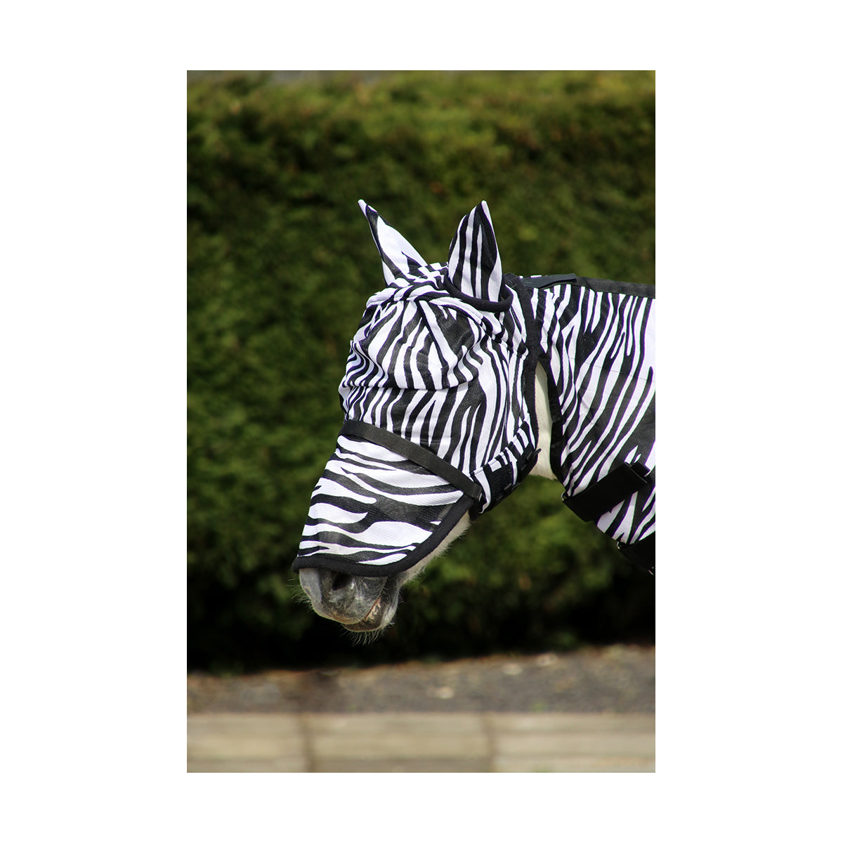 Hy Equestrian Zebra Print Fly Mask with Ears & Detachable Nose – Vale ...