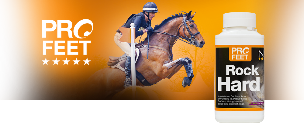 NAF PROFEET Rock Hard 250ml – Vale Gardens Limited