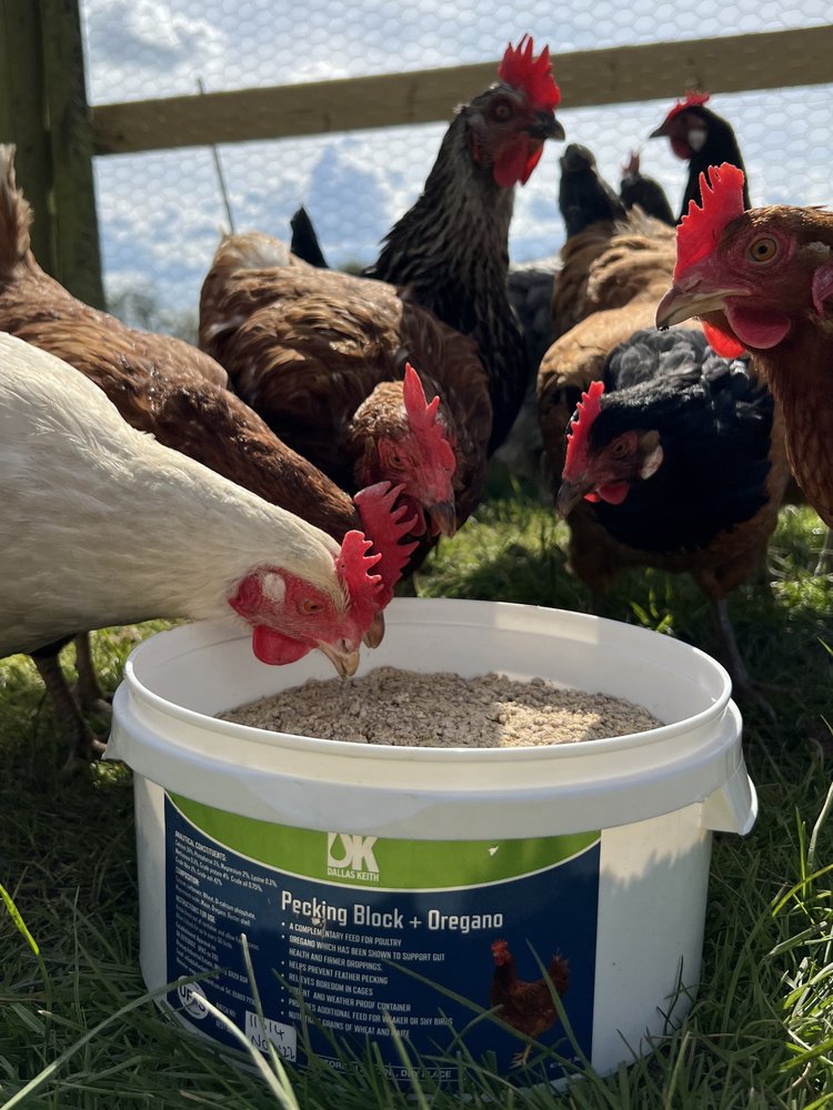 Dallas Keith Poultry Pecking Feed Block – Vale Gardens Limited