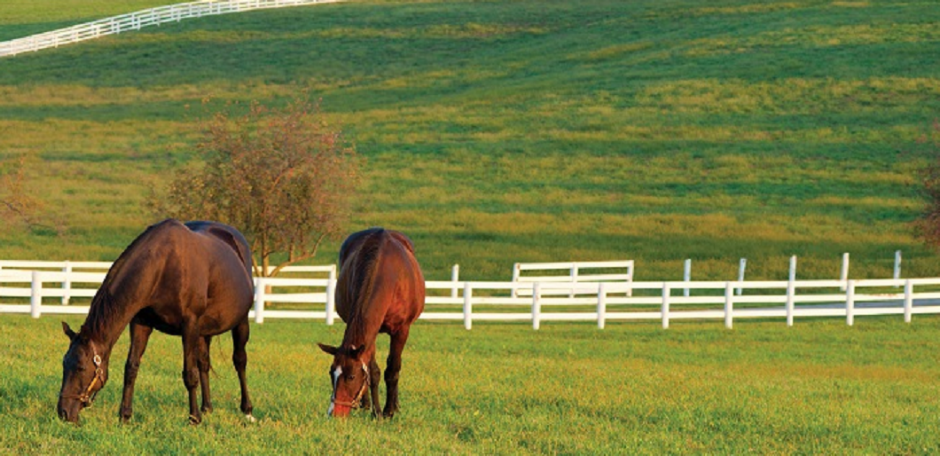 Vale Gardens | Providing for rural communities – Vale Gardens Limited